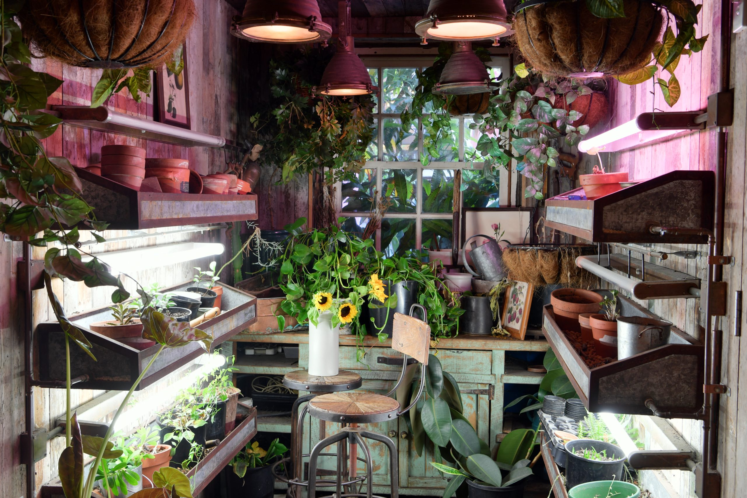 The Ground of Alexandria - POINTE Group